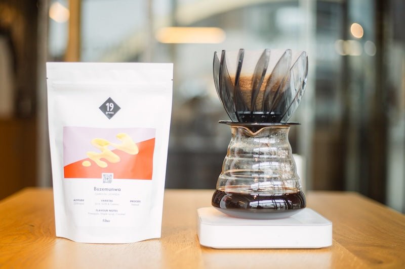 Hario V60 Suiren – Eleganter Kaffeefilter | 19grams Blog