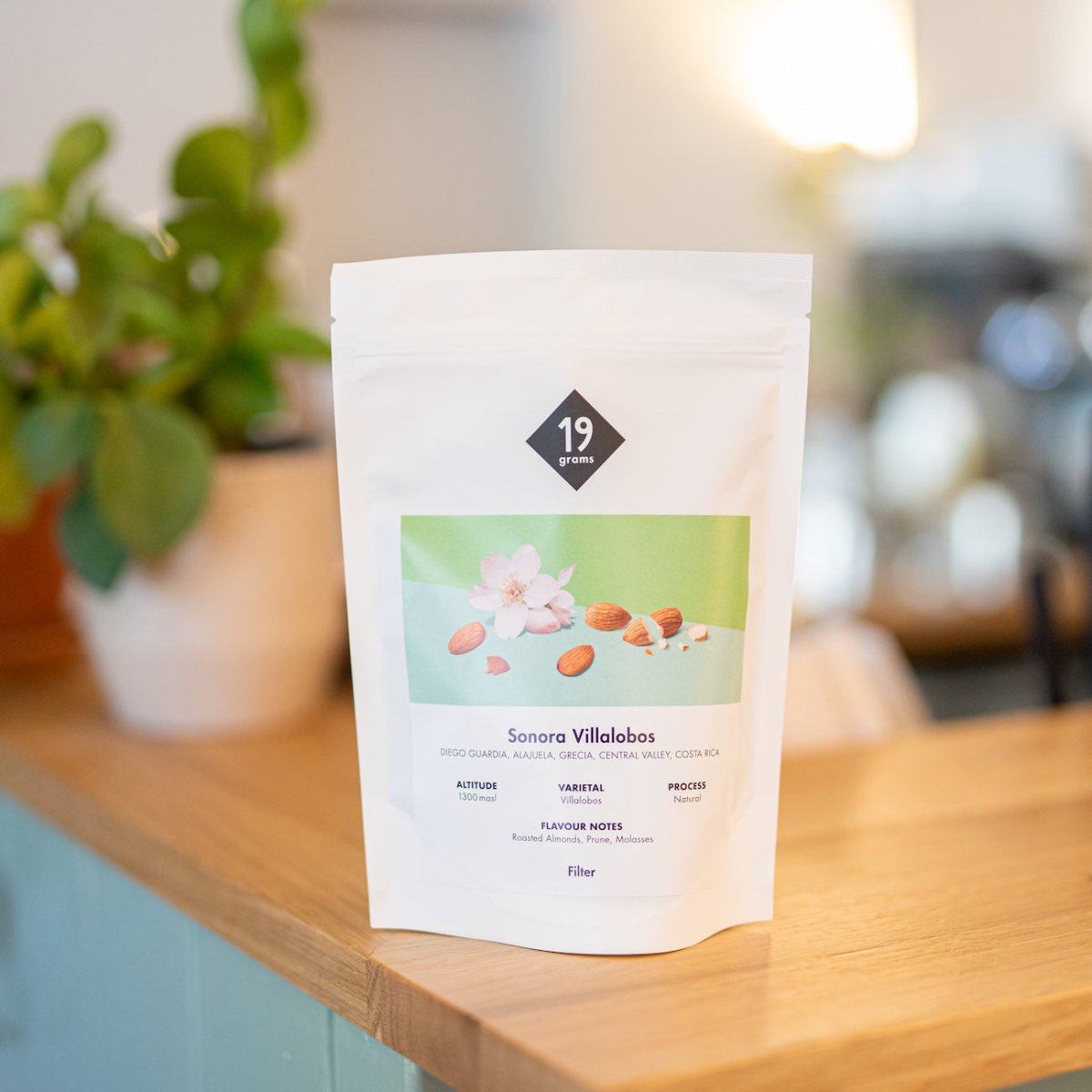 Sonora Villalobos Costa Rica Filter | 19grams Coffee Roaster